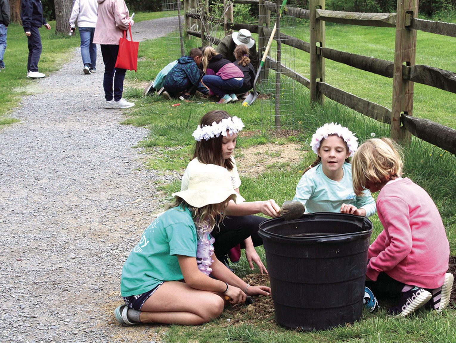 Celebrating Arbor Day