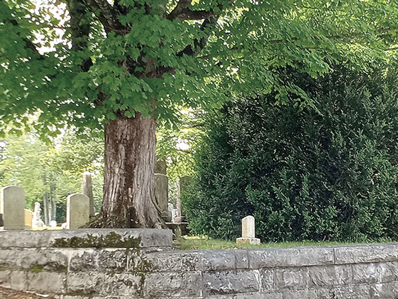 Davy Buck, Black Presbyterian Sexton, Profiled In New ‘Rockbridge Epilogue’