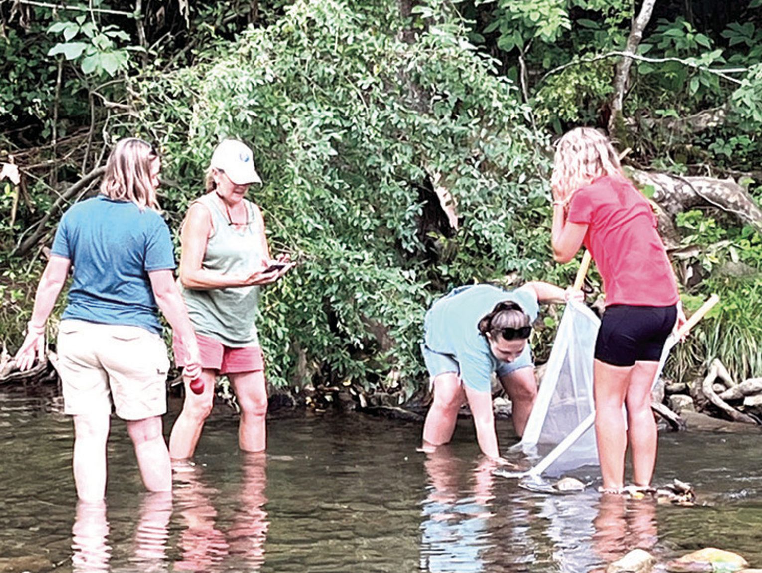 Re-Imagining Education