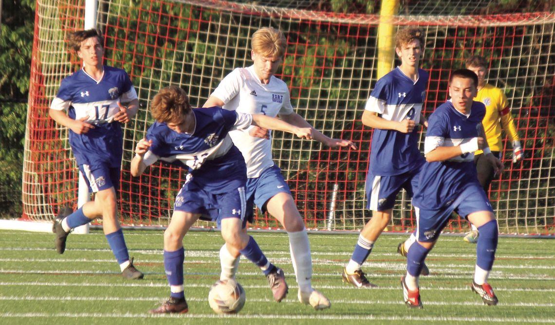 ‘Cats Take Down Fort