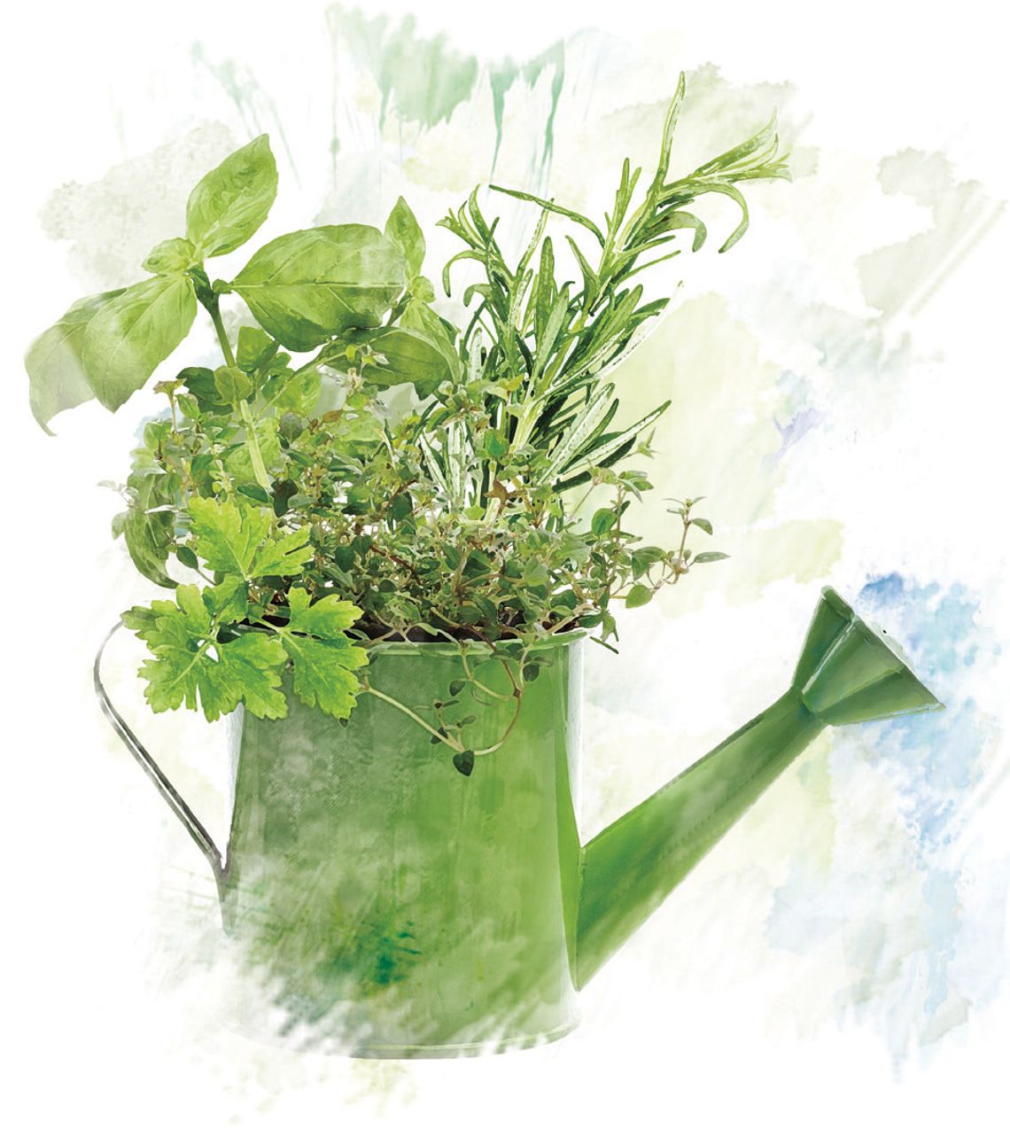 Herb Guild’s 25th Annual Sale Saturday