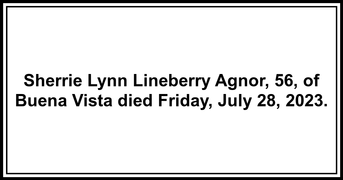 Obituary: Sherrie Lynn Lineberry Agnor, 56, of Buena Vista died Friday ...
